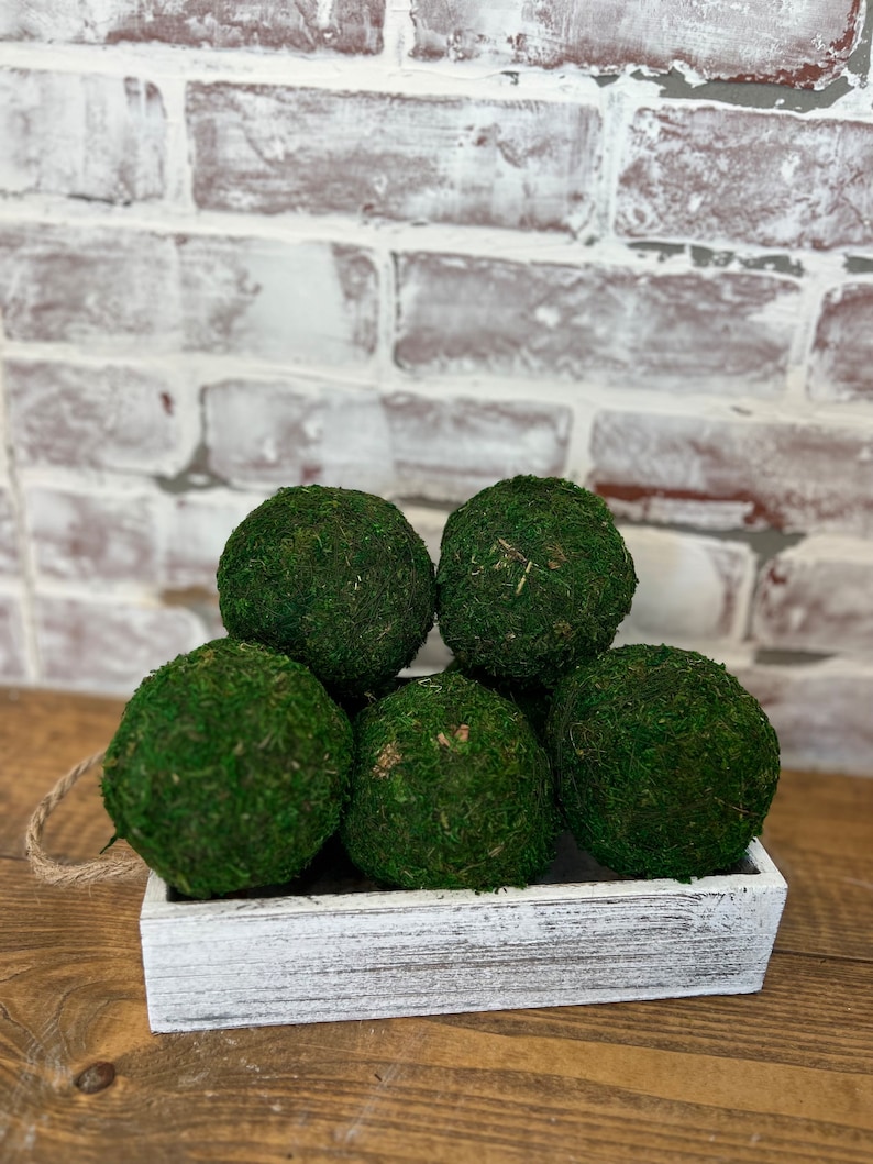 Moss Ball, Natural Moss Balls, Decorative Balls, Moss Covered Balls ...