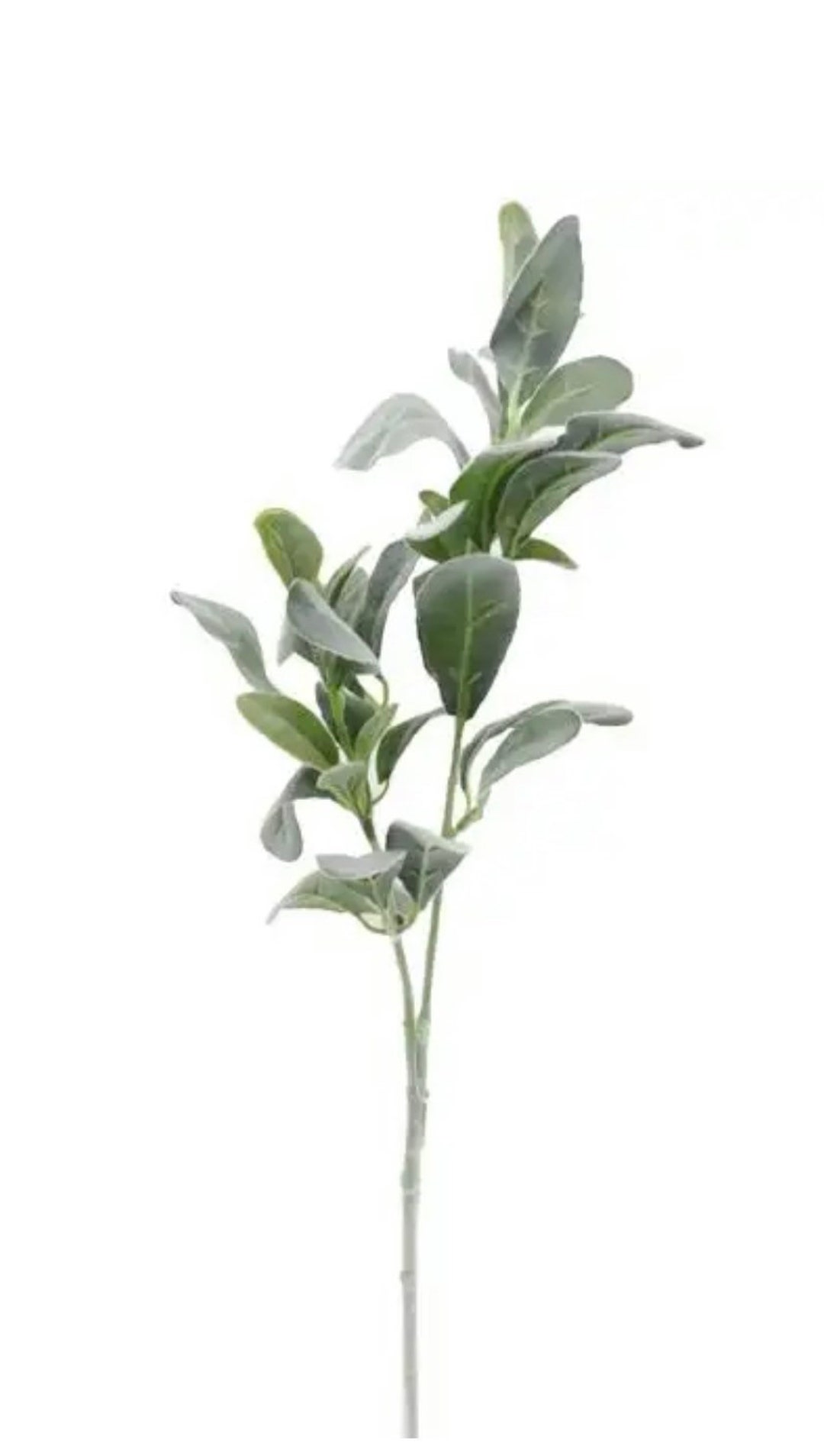 Faux Lambs Ear Stem, Lambs Ear Spray, Wreath Supply, Floral Deco, Home ...