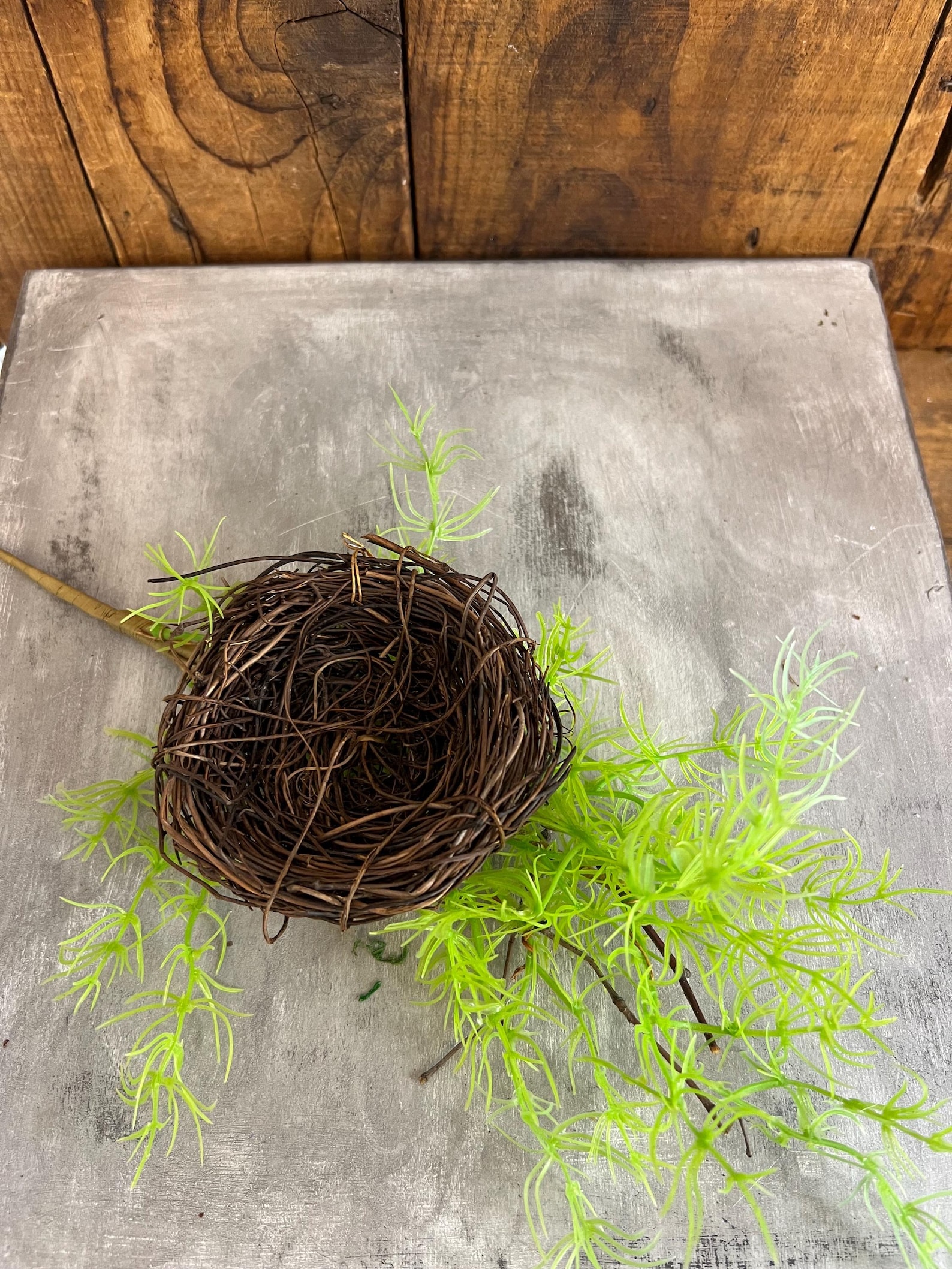 Bird Nest Stem, Cute Bird Nest Stem, Spring Decor, Easter Decoration ...