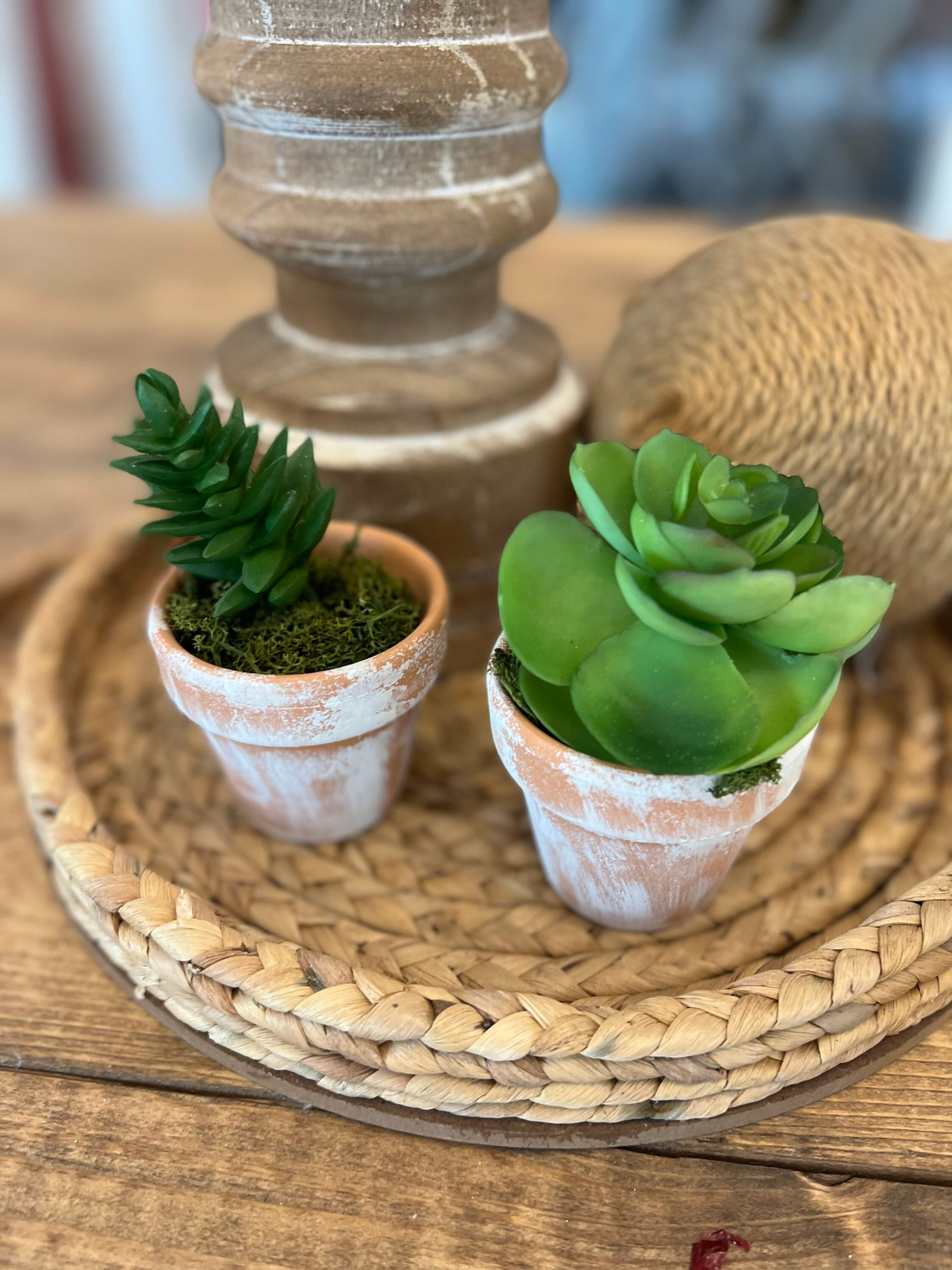 Succulents, Clay Pot, Artificial Succulents, Distress Clay Pots, Baby ...