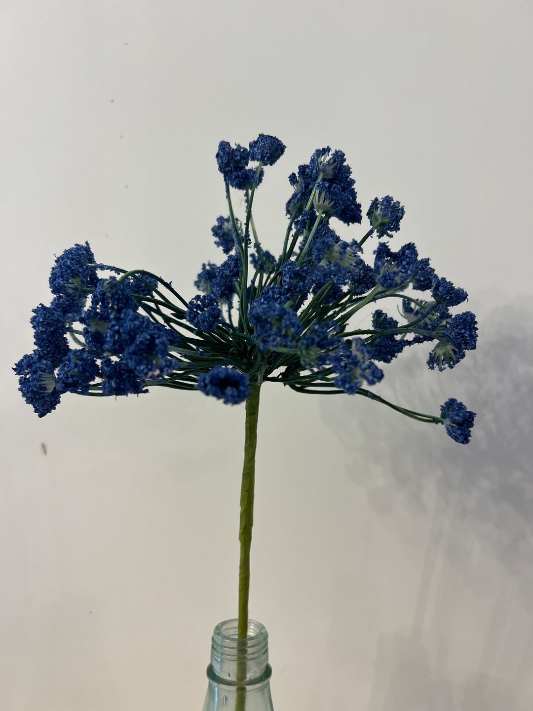 Blue Flower Stem Flowers - Etsy