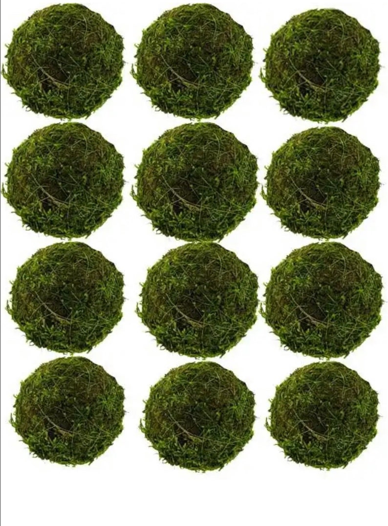 Moss Ball, Natural Moss Balls, Decorative Balls, Moss Covered Balls ...