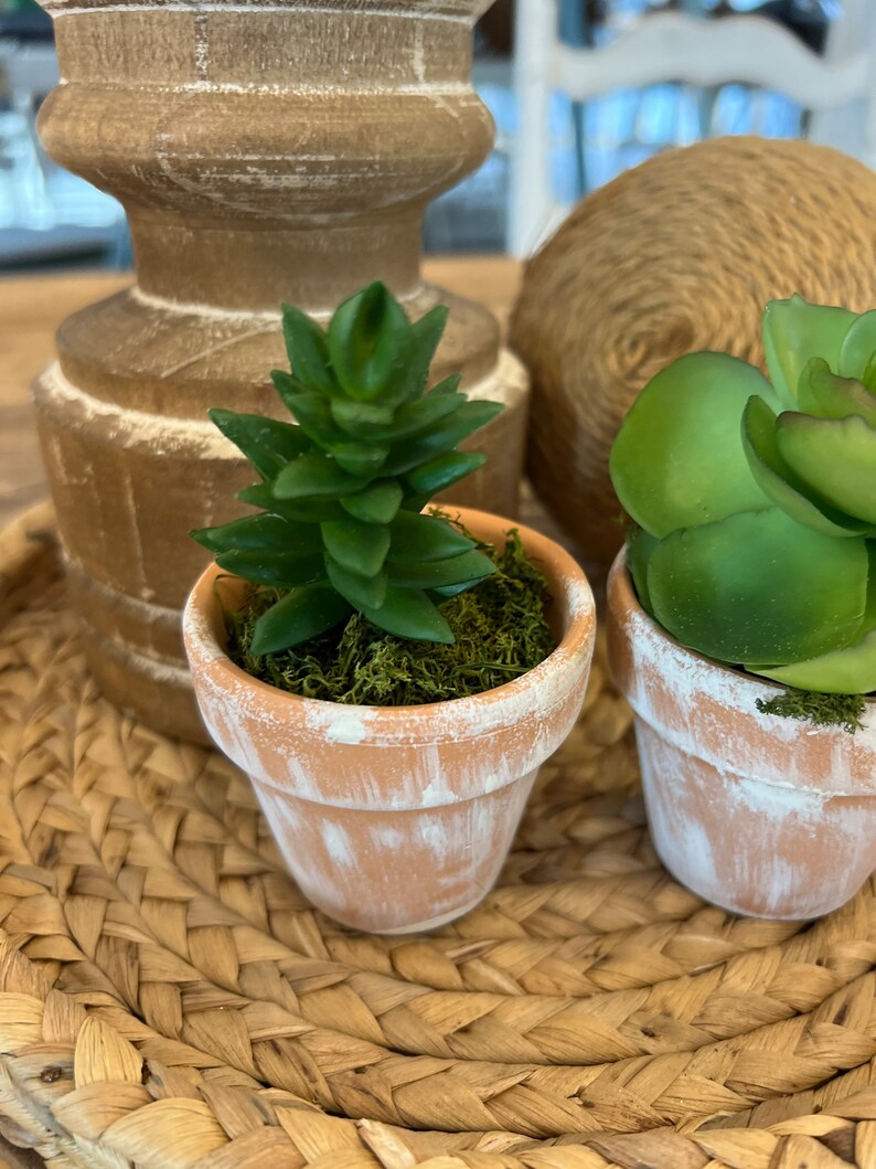 Succulents, Clay Pot, Artificial Succulents, Distress Clay Pots, Baby ...