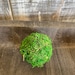 Moss Ball, Natural Moss Balls, Decorative Balls, Moss Covered Balls ...