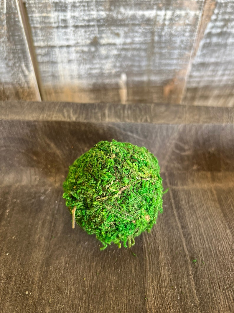 Moss Ball, Natural Moss Balls, Decorative Balls, Moss Covered Balls ...