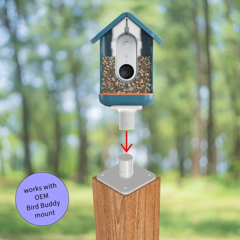 Post Mount Adapter – Fits 4x4 Wood Posts - Compatible With Bird Buddy ...