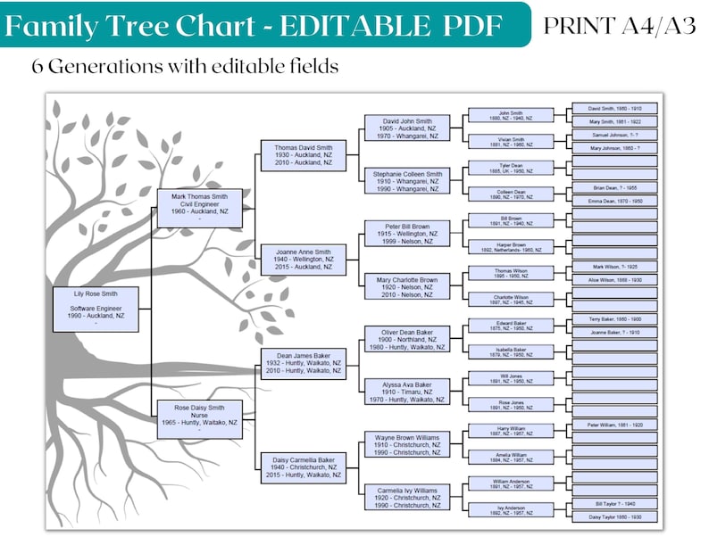 Gráfico de árbol genealógico/ Plantilla de árbol genealógico/ Gráfico ...