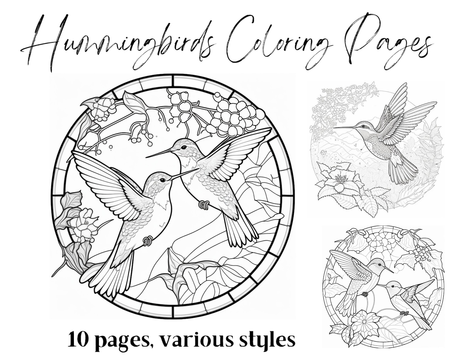 Hummingbirds Coloring Pages Coloring Pages for Adult - Etsy