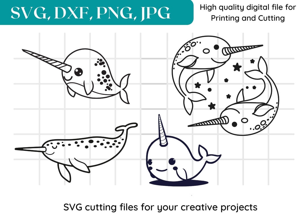 BUNBLE Narwhal Svg | Narwhal Png : High-quality Design for Crafting and ...