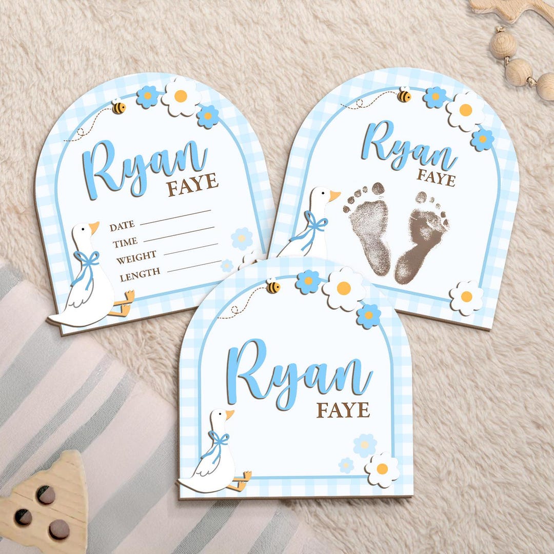 Baby Announcement Sign, Custom Baby Birth Stats Sign, Coquette Goose ...