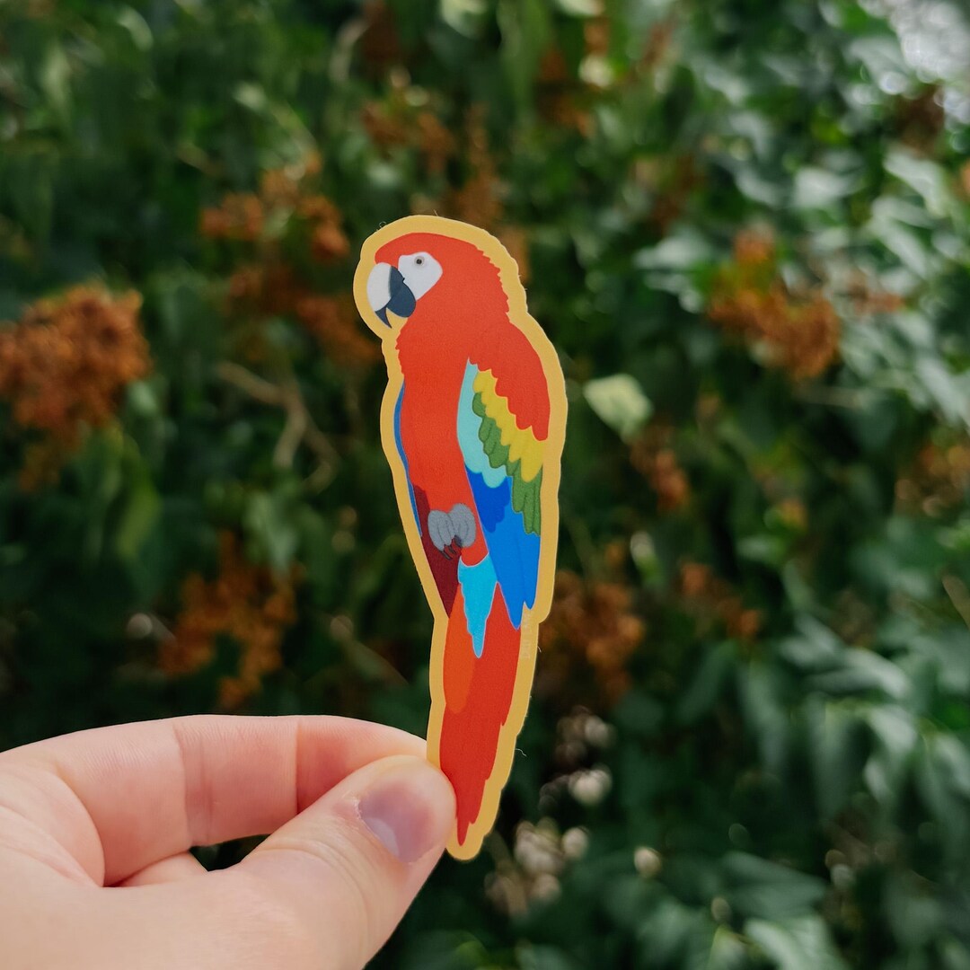 Vibrant Scarlet Macaw Parrot Sticker – Colorful Tropical Bird Decal for ...