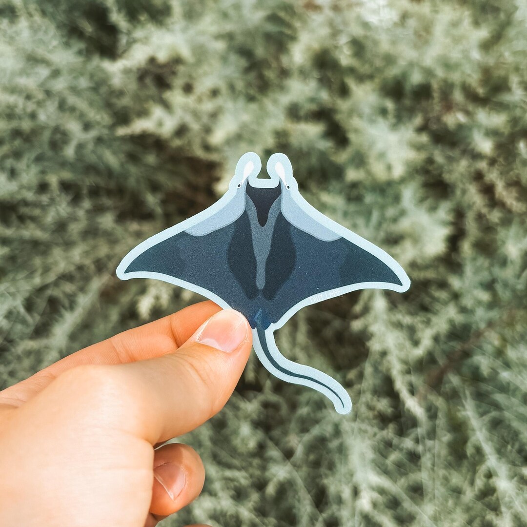 Manta Ray Sticker – Stunning Ocean Wildlife Decal for Marine Life ...