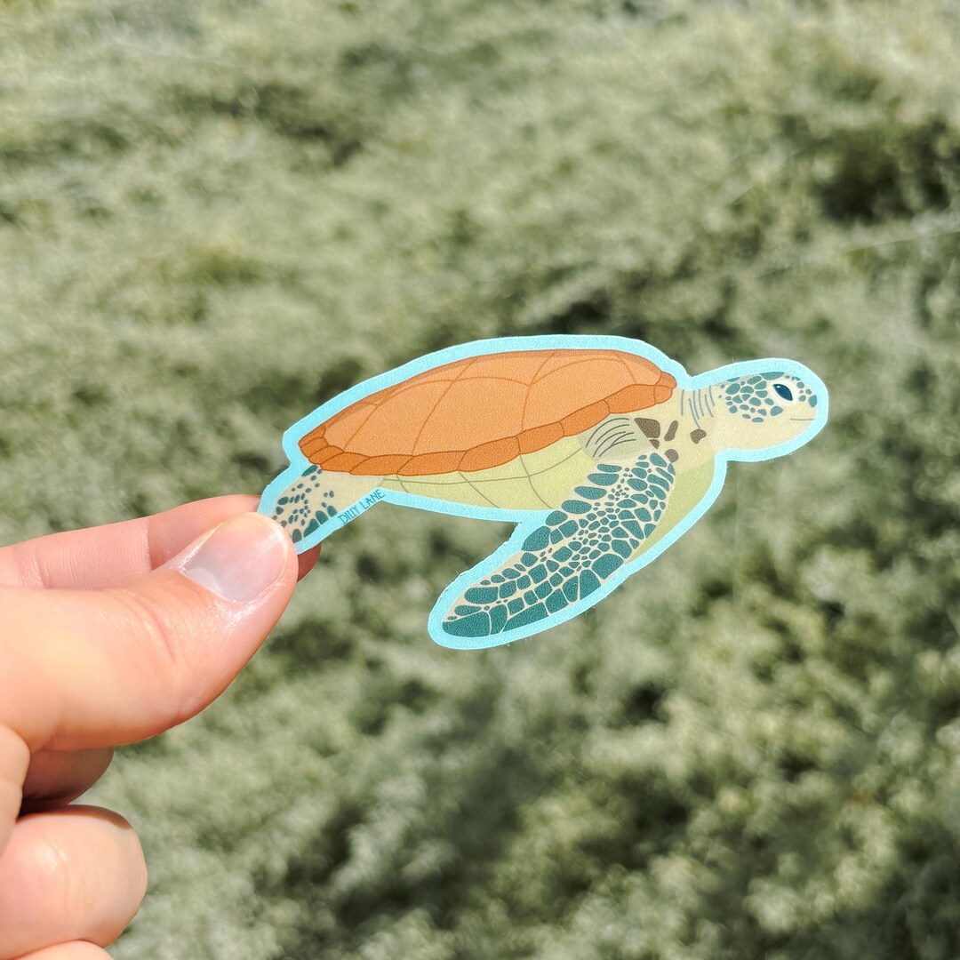 Sea Turtle Sticker – Cute Ocean Wildlife Decal for Beach and Nature ...