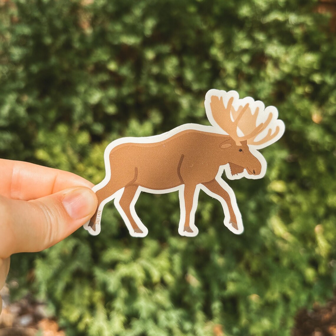 Moose Sticker – Rustic Wildlife Decal for Nature Lovers & Outdoor Decor ...