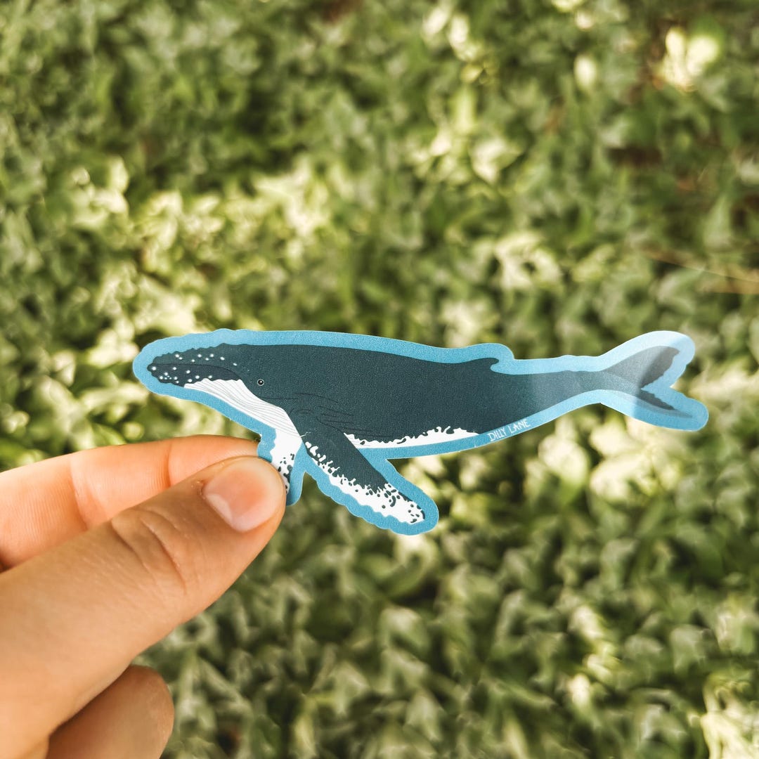 Humpback Whale Sticker - Ocean Animal Vinyl Decal, Marine Life ...