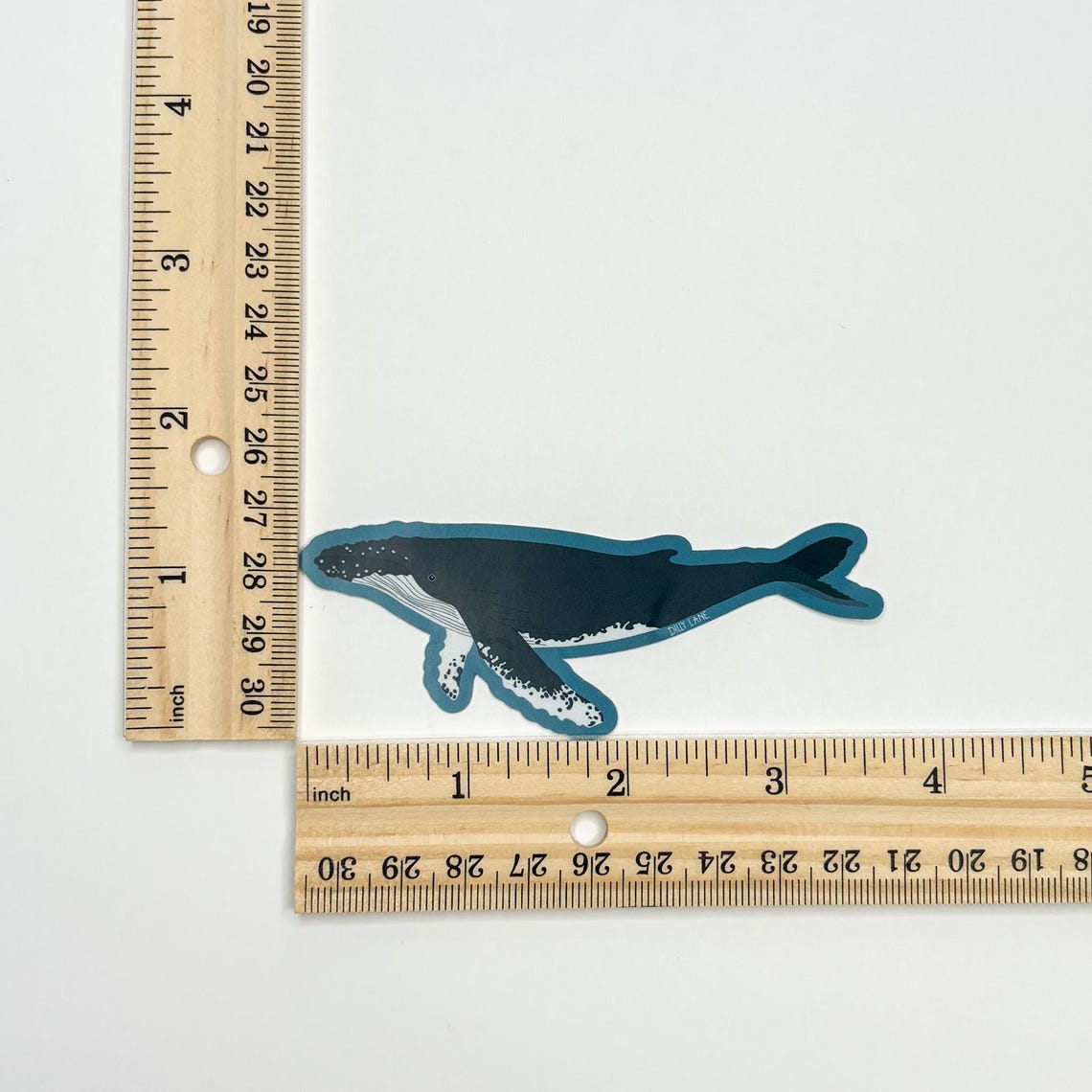 Humpback Whale Sticker - Ocean Animal Vinyl Decal, Marine Life ...