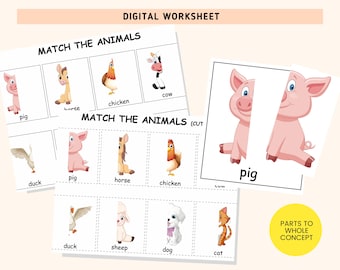 Circle Time Props for Toddler Preschool (Instant Download) - Etsy