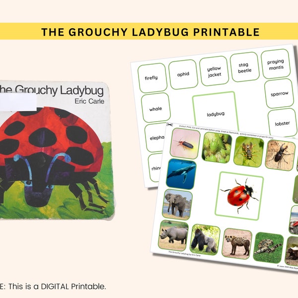 The Grouchy Ladybug - Etsy
