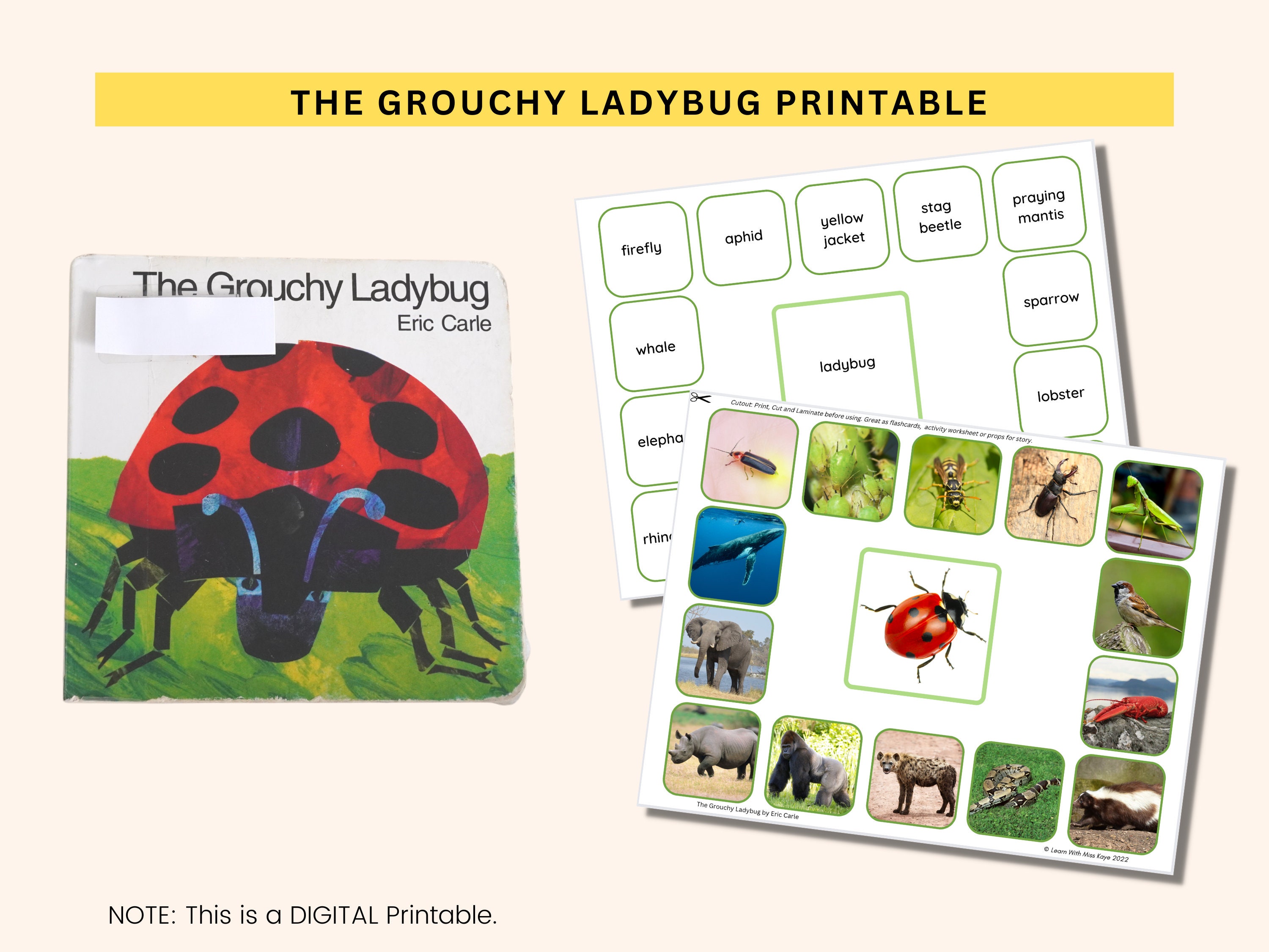 The Grouchy Ladybug Worksheets