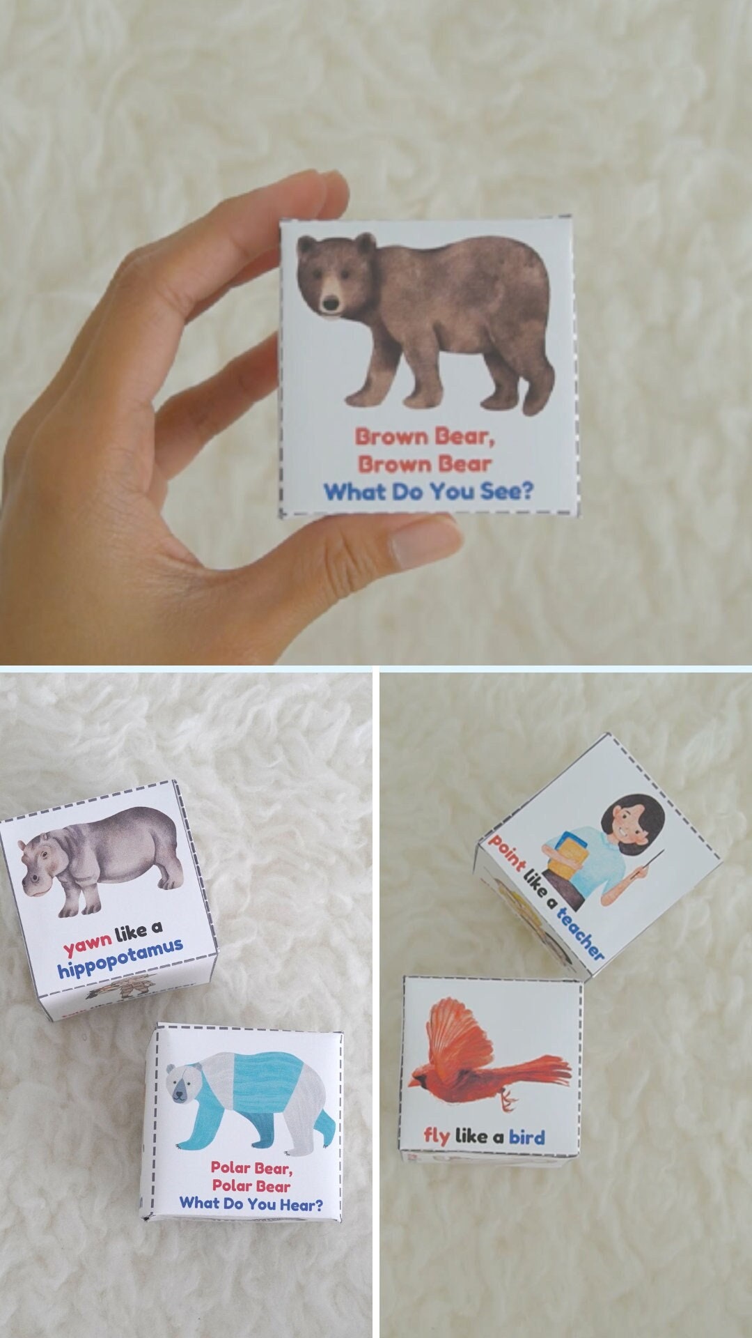 Eric Carle Animal Movement Cube: Brown Bear & Polar Bear (digital ...