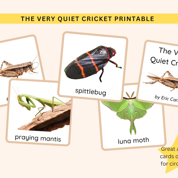Very Quiet Cricket Toy - Etsy