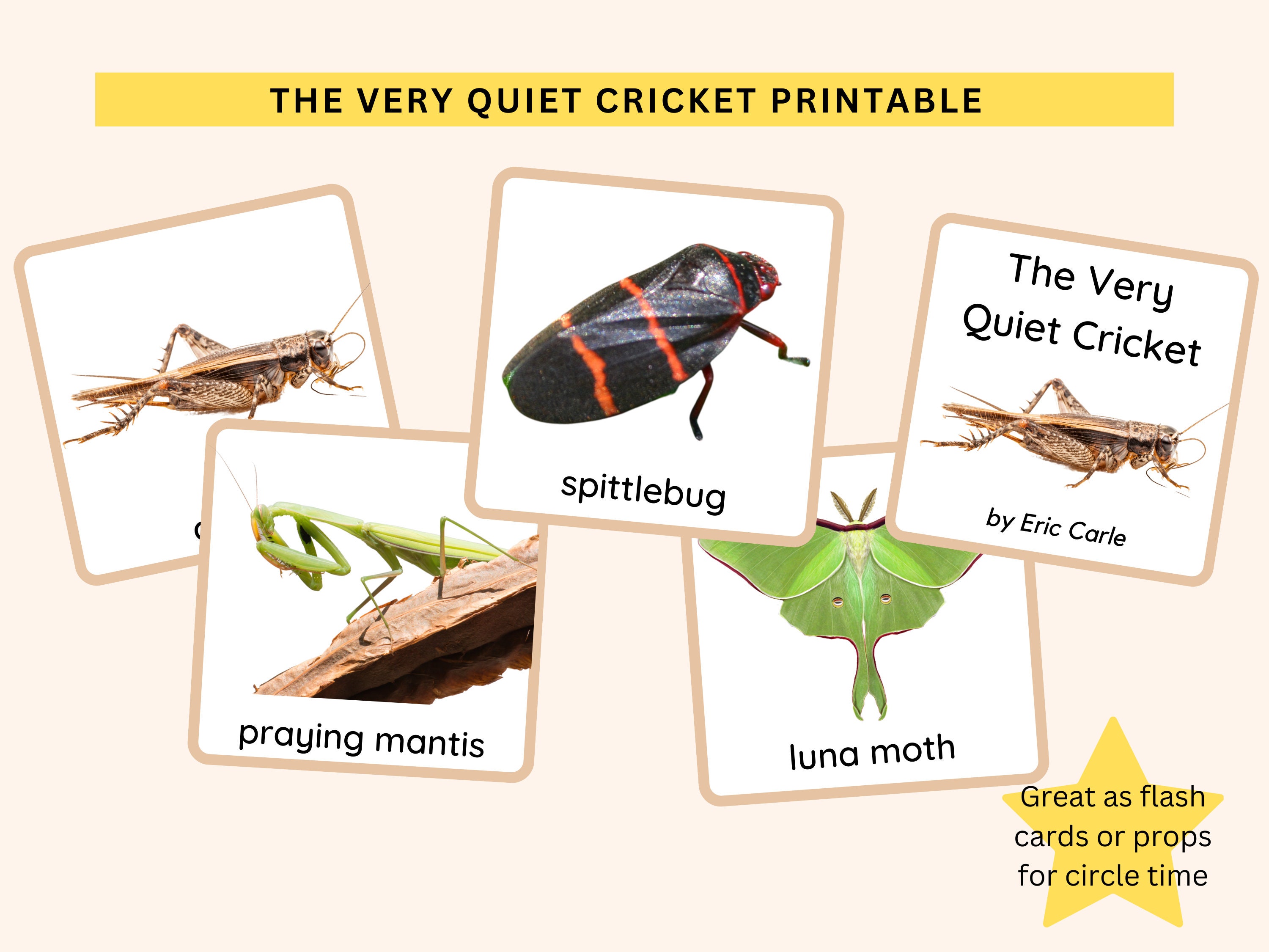 The Very Quiet Cricket Printable: Flashcards & Circle Time Props ...