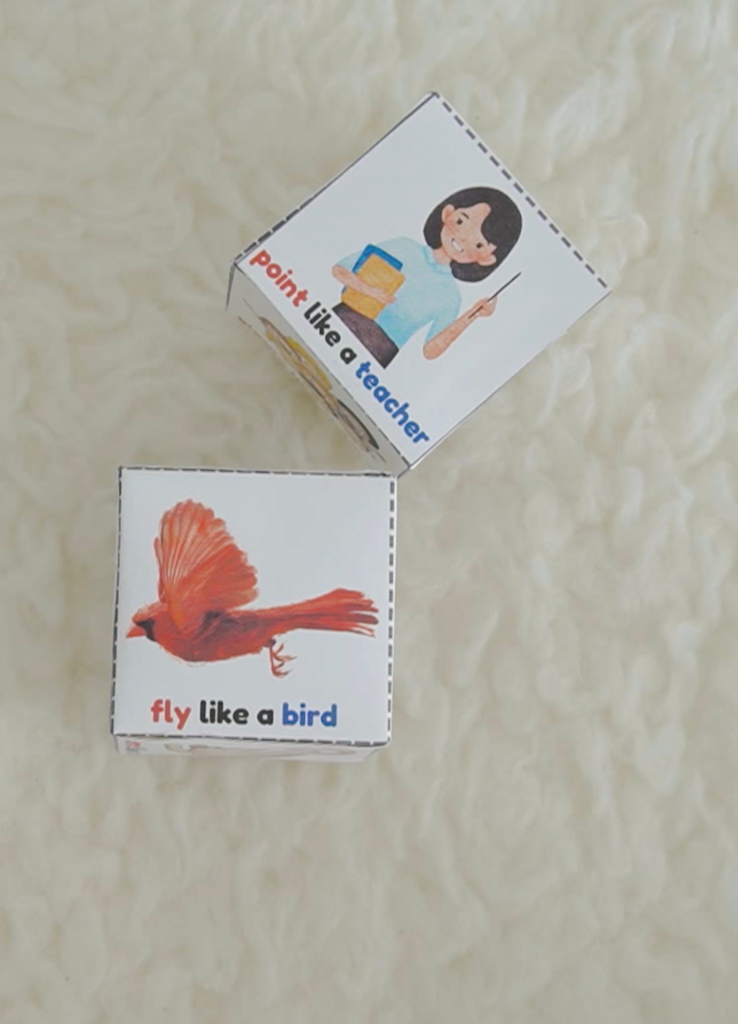 Eric Carle Animal Movement Cube: Brown Bear & Polar Bear (digital ...