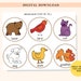 Circle Time Props for Toddler, Preschool, Kindergarten | Brown Bear ...