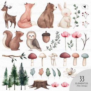 Little Forest Watercolor Clipart Bundle, Bear, Mushroom, Owl, Deer ...