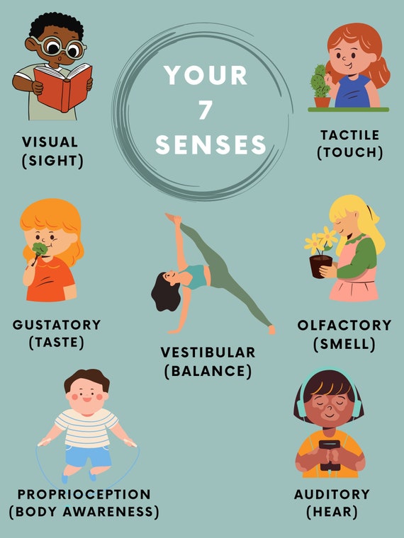 7 Senses