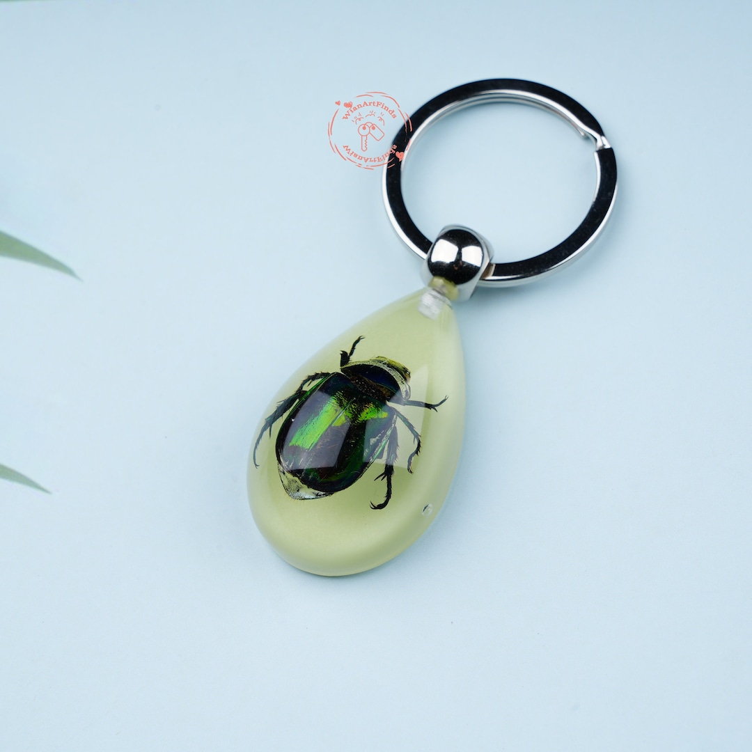 Resin Scarab Keychain,handmade Insect Keyring,real Insects Beetles ...