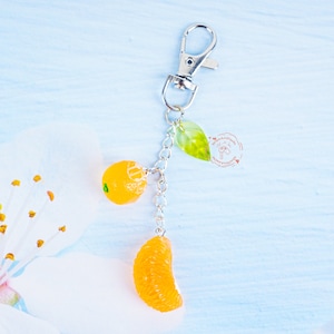 Mini Orange Keychain,cute Fruit Keychain,kawaii Phone Charm,birthday ...
