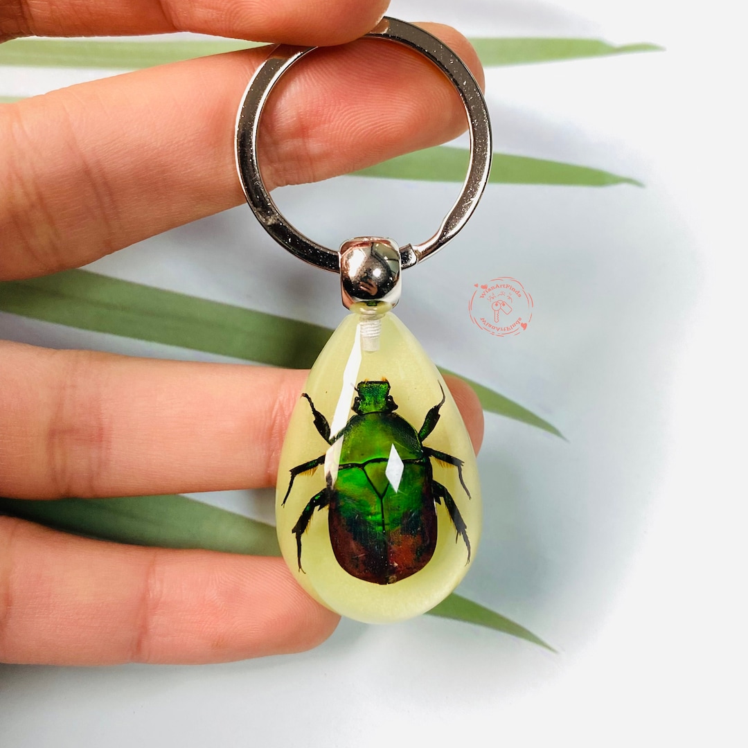 Handmade Insect Keyring,real Insects Beetles Scarab in Resin,glow Key ...