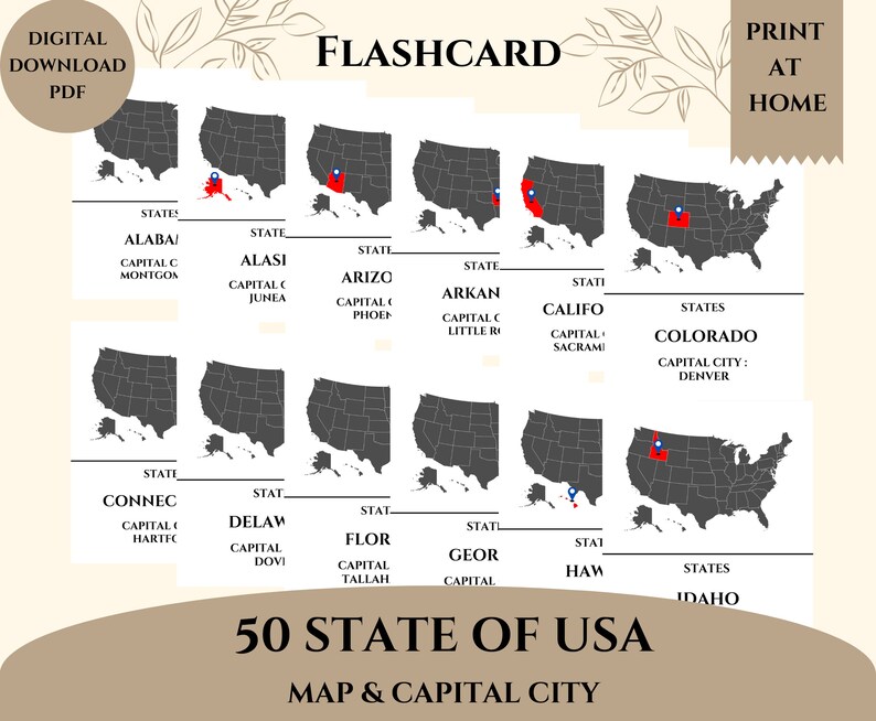 50 States of USA Educational Poster Flash Cards With Map - Etsy