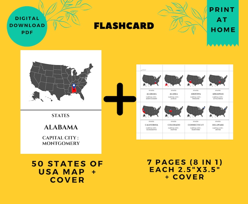 50 States of USA Educational Poster Flash Cards With Map | States ...