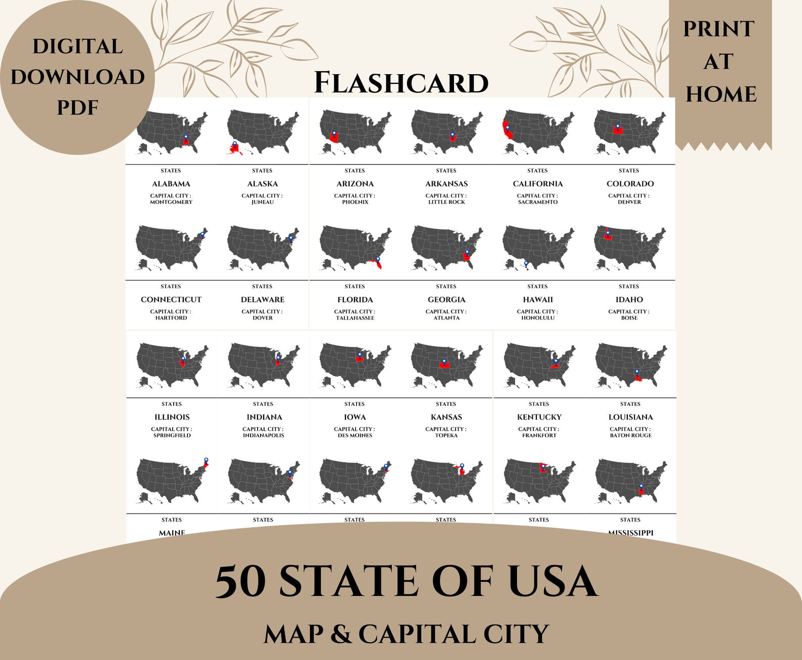 50 States of USA Educational Poster Flash Cards With Map - Etsy