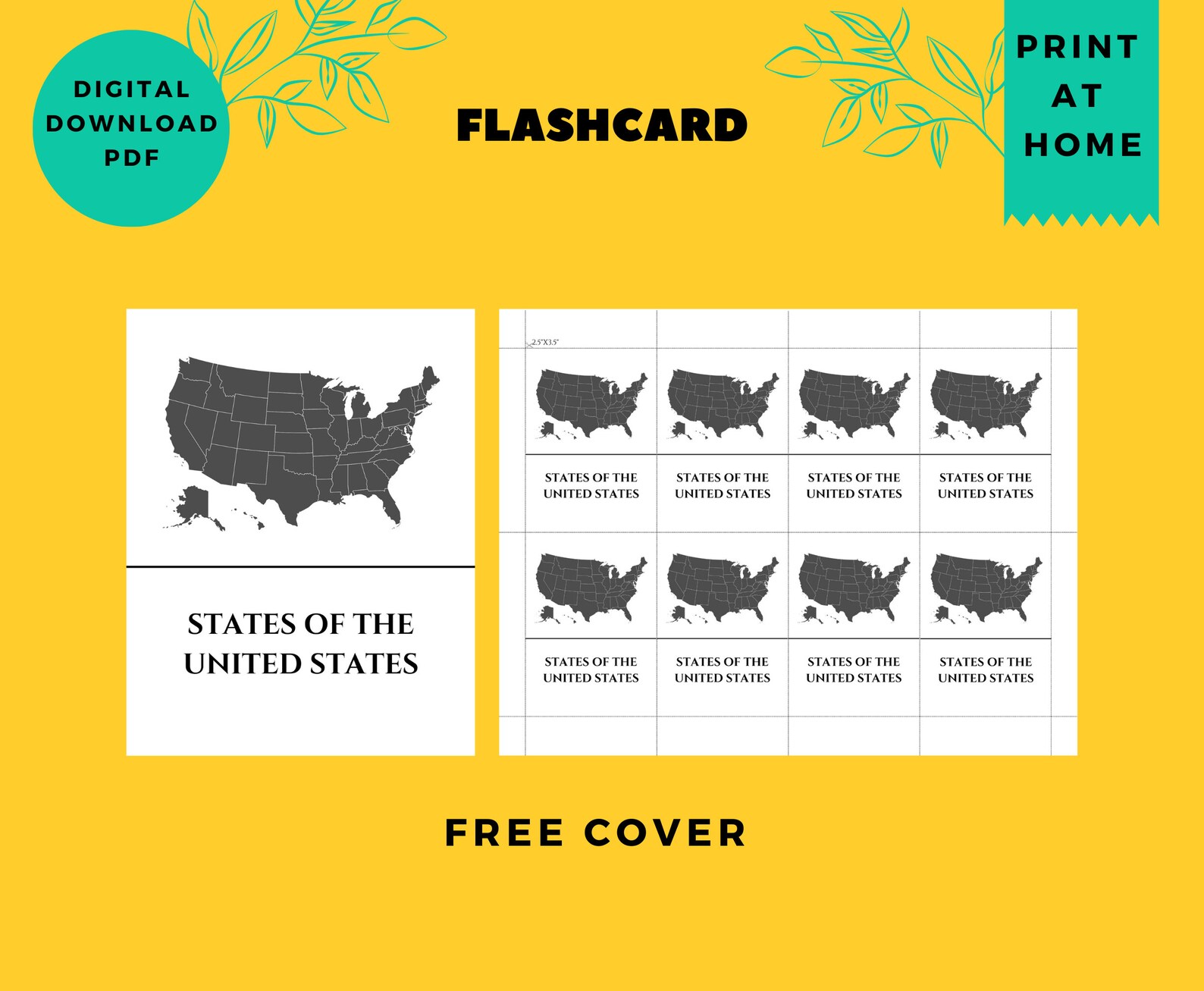 50 States of USA Educational Poster Flash Cards With Map | States ...