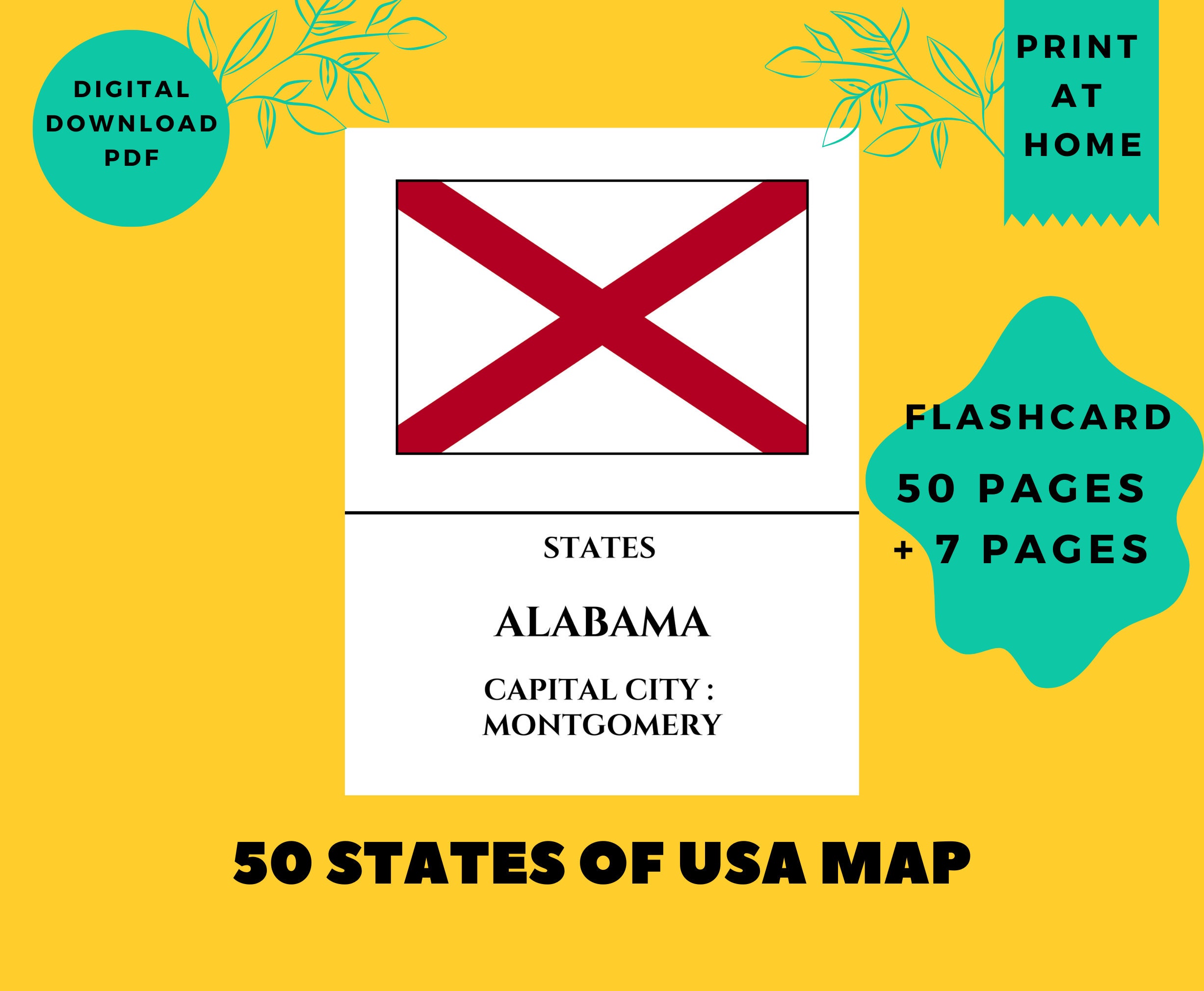 50 States of USA Educational Poster Flash Cards With Flag | States ...