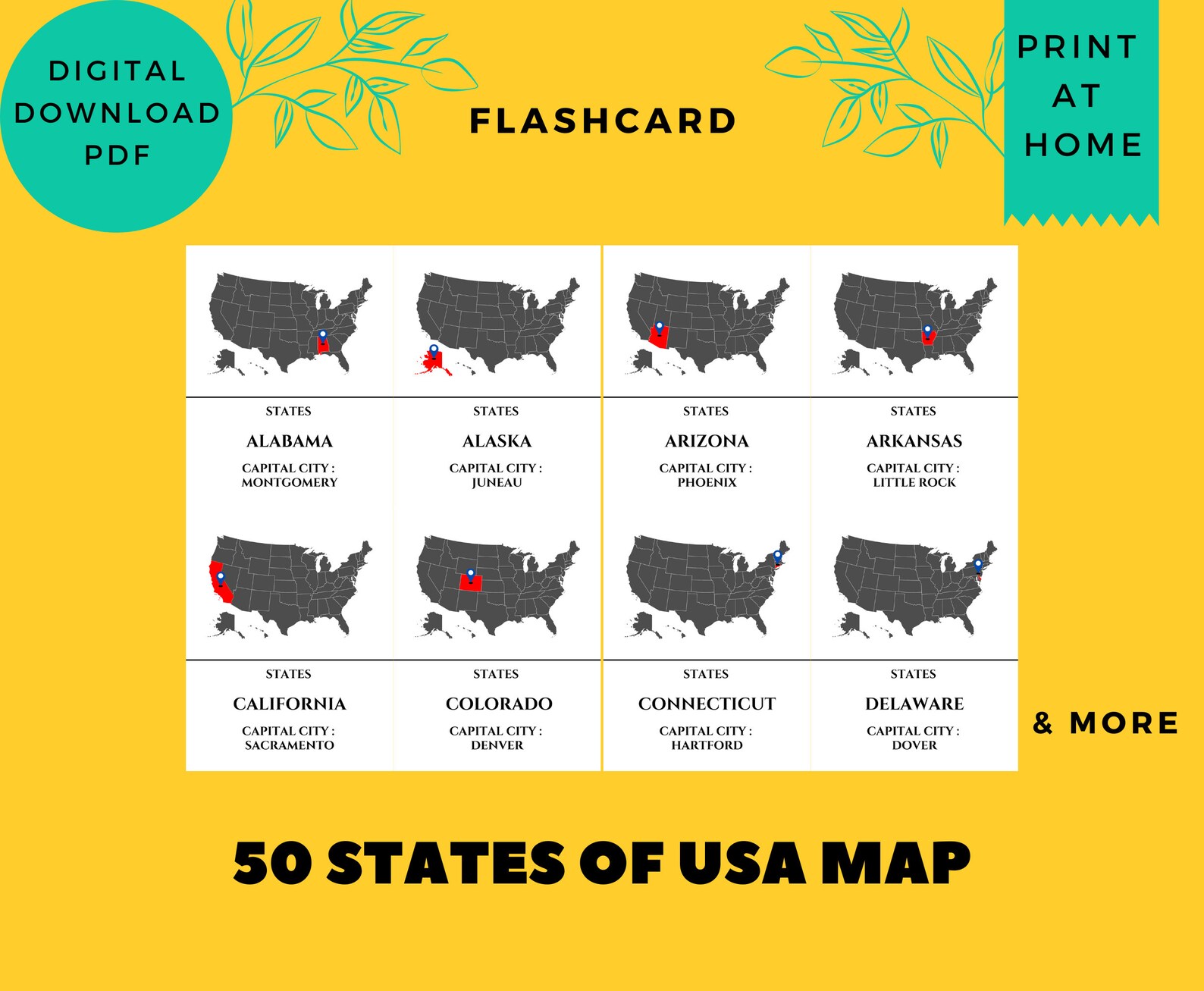 50 States of USA Educational Poster Flash Cards With Map States Capital ...