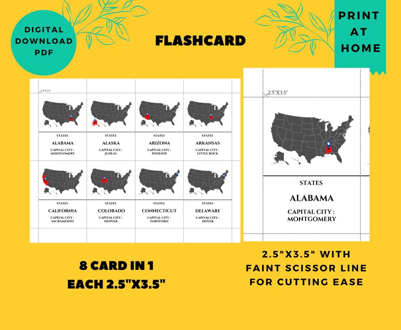 50 States of USA Educational Poster Flash Cards With Map | States ...