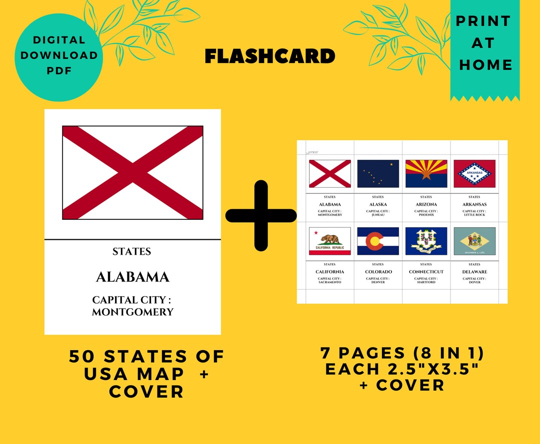 50 States of USA Educational Poster Flash Cards With Flag | States ...