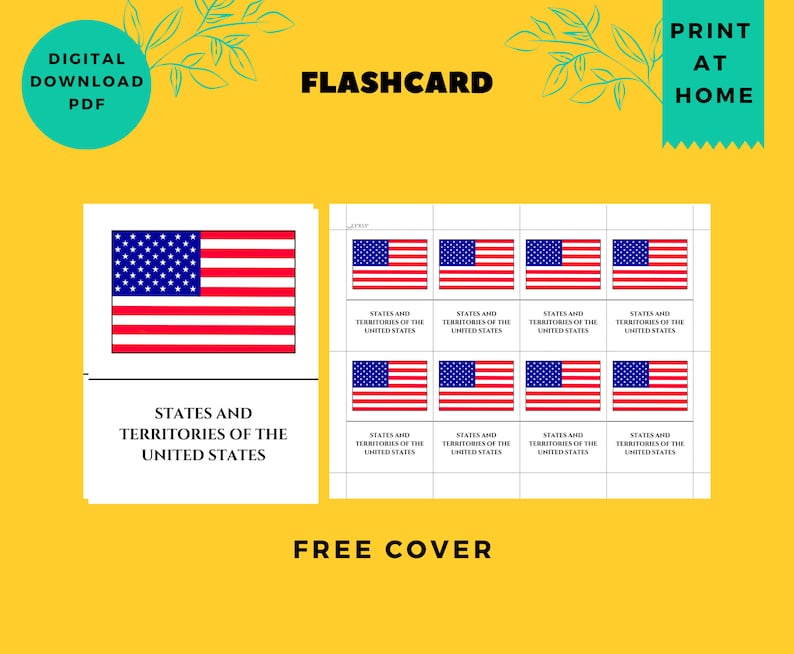 50 States of USA Educational Poster Flash Cards With Flag | States ...