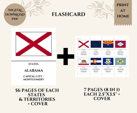 50 States of USA Educational Poster Flash Cards With Flag - Etsy