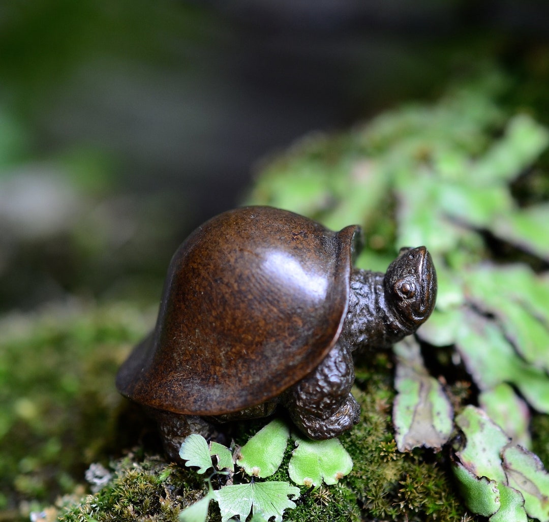 Longevity Turtle-japanese Showa Period Bronze Arthome - Etsy