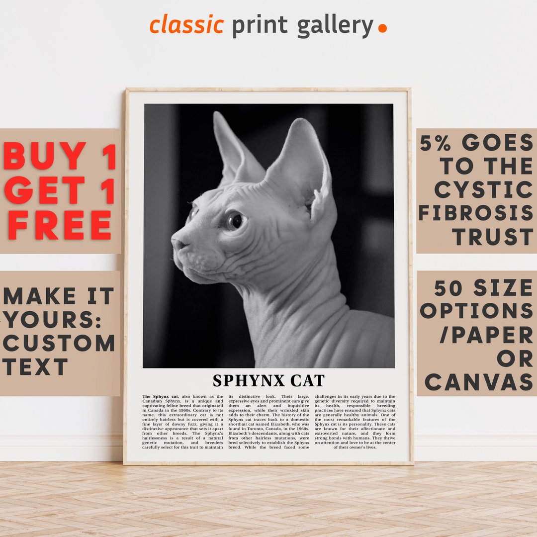 Sphynx Cat Print, Sphynx Cat Wall Art Poster, Black White Classroom ...