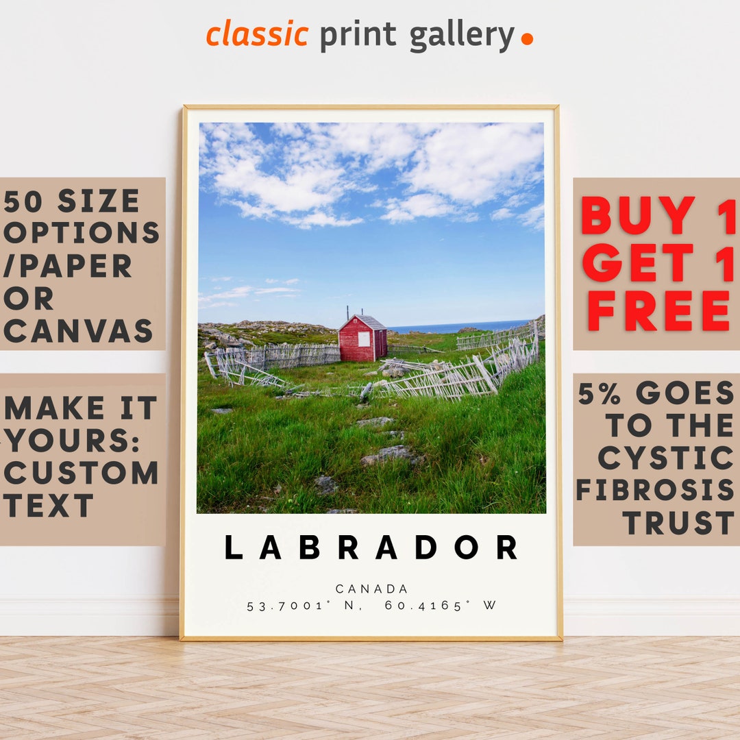 Labrador Poster Colorful Print, Labrador Wall Art, Labrador Photo Decor ...