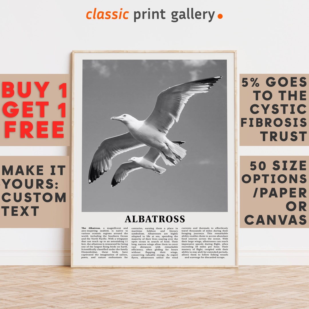 Albatross Print, Albatross Wall Art Poster, Black White Classroom ...