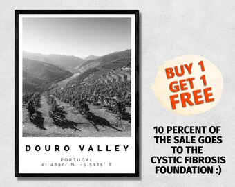 Douro Valley Poster - Etsy