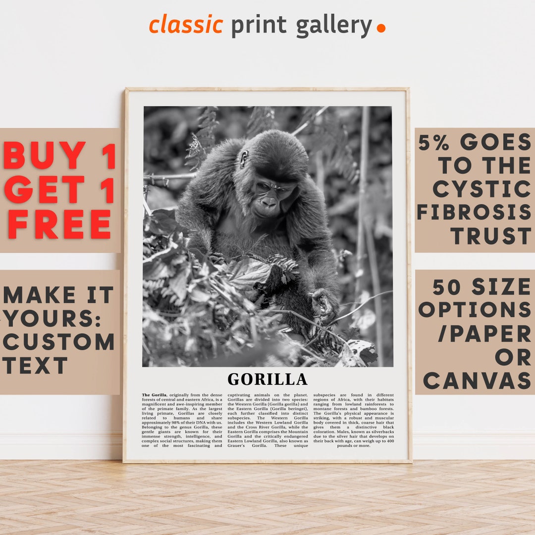 Gorilla Print, Gorilla Wall Art Poster, Black White Classroom Teacher ...