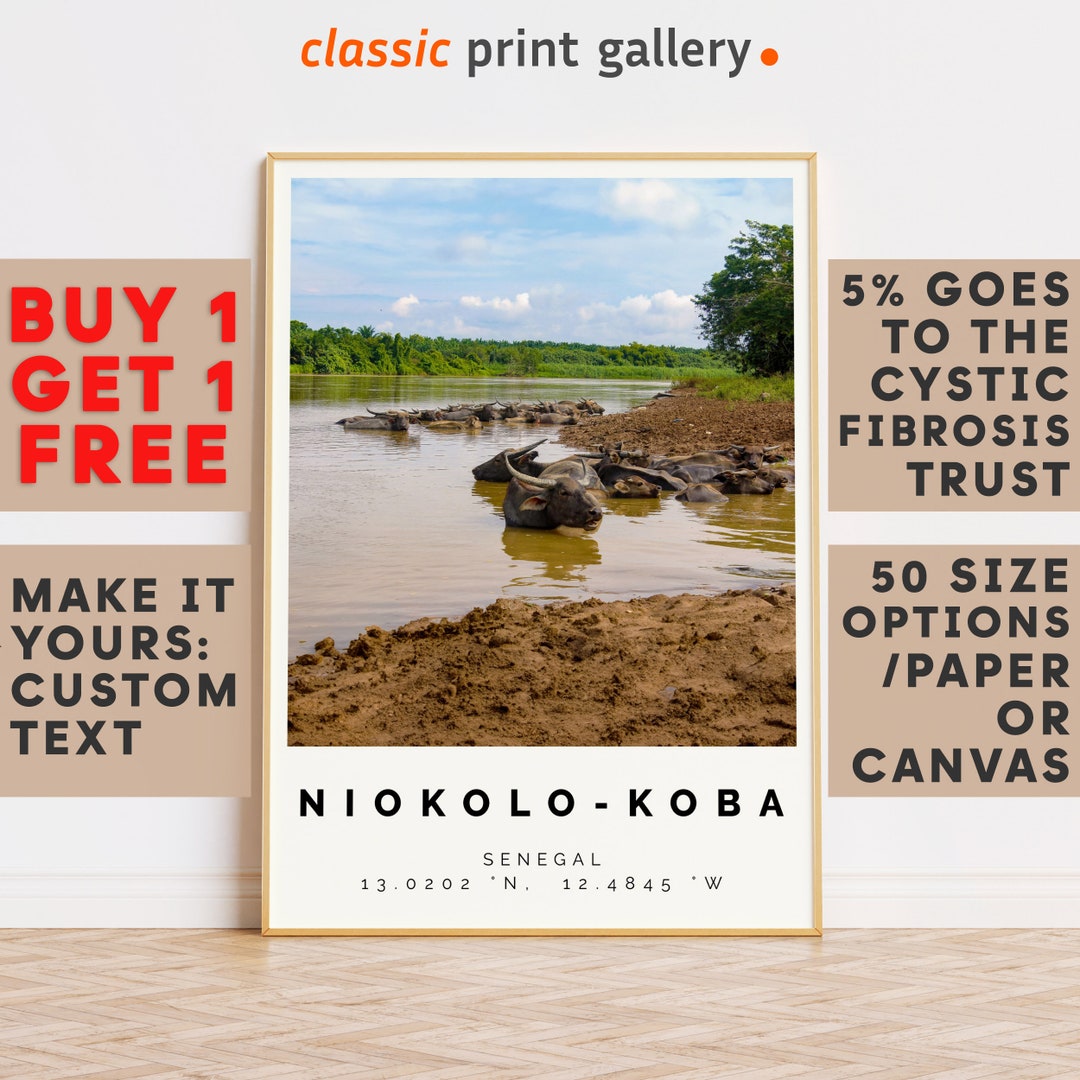 Niokolo-koba Print,niokolo-koba Wall Art,niokolo-koba Colorful Poster ...